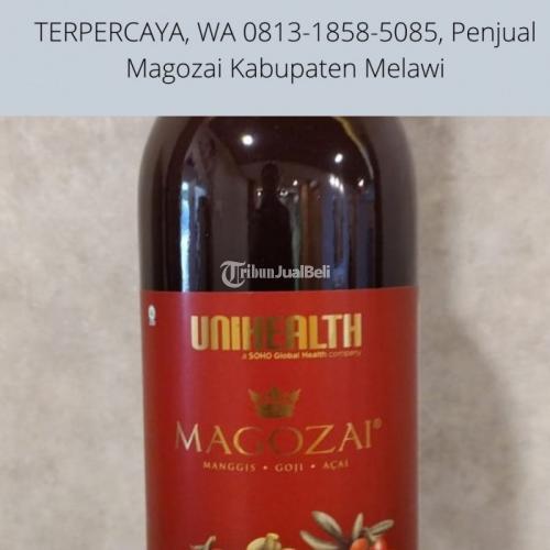Magozai Kabupaten Melaw - Tribun JualBeli