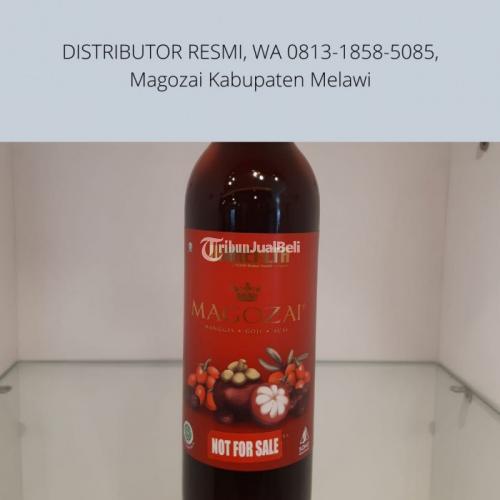 Magozai Kabupaten Melaw - Tribun JualBeli