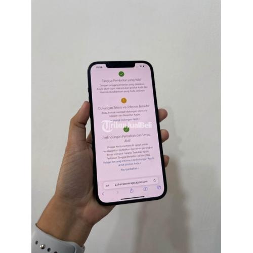 Handphone iPhone 12 Pro Max 128GB Pacific Blue Second Fullset Garansi ...