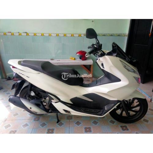Motor Honda PCX Tahun 2020 Bekas Warna Putih Surat Lengkap Pajak Hidup ...