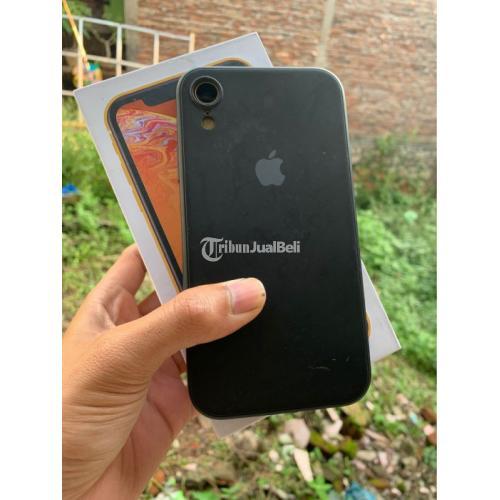 HP iPhone XR 64GB Yellow Ex Inter Seken Truetone On Bonus Softcase di ...