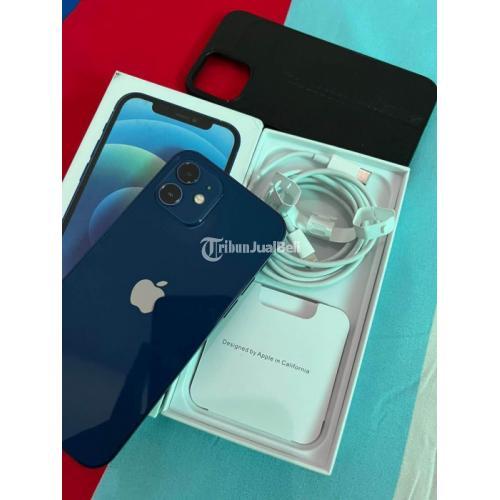 HP iPhone 12 64GB Biru Seken Aman Siap Pakai di Yogyakarta - Tribun ...