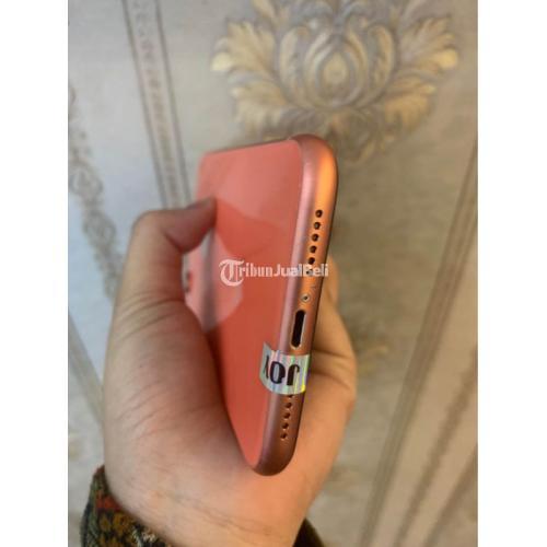HP iPhone XR 64 GB Seken Fullset Bergaransi Siap Pakai Harga Nego di ...