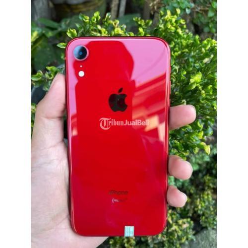 HP iPhone XR 64 GB Bekas Warna Merah Fullset Kondisi Mulus No Minus di ...