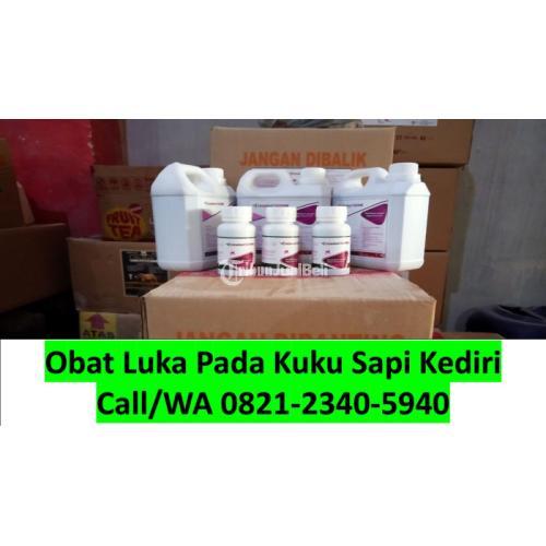 Desinfektan Kandang Ayam Alami Melayani Pengiriman Plosoklaten di ...
