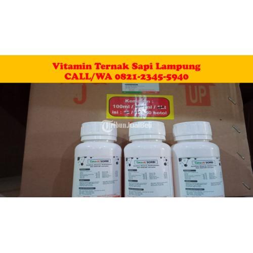 Vitamin Kambing Agar Cepat Gemuk Punggur di Lampung Tengah - Tribun ...