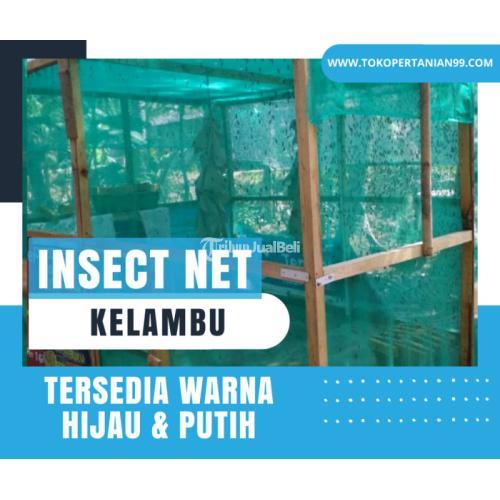 JaringI Insect Hijau dan Putih di Madiun - Tribun JualBeli