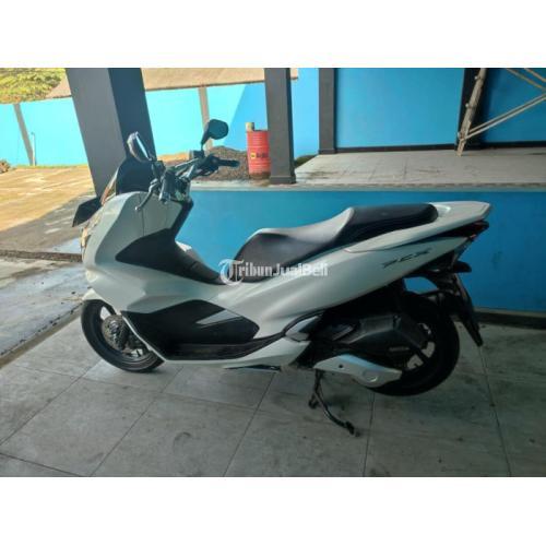 Motor Honda PCX 2019 Putih Seken Surat Lengkap Siap Pakai di Cilacap ...
