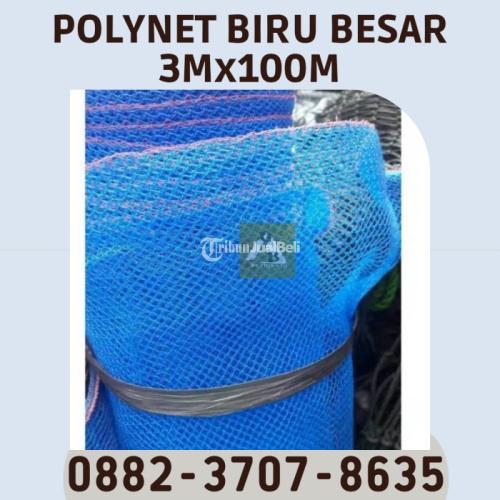 Terlaris Distributor Utama Jaring Polynet di Surabaya - Tribun JualBeli