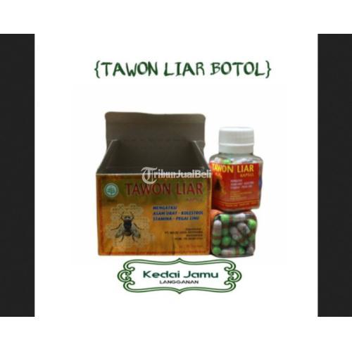 Tawon Liar Kapsul Original di Botol 40 Kapsul di Jakarta Pusat - Tribun ...