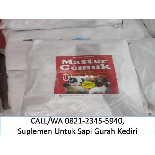 Pakan Suplemen Sapi Terbaik dan Terpercaya di Kediri - Tribun JualBeli
