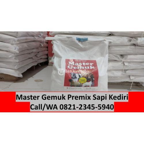 Premix/Suplemen Pakan Vitamin Untuk Sapi Menyusui Puncu di Kediri ...