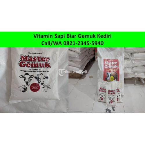 Premix/Suplemen Pakan Vitamin Untuk Sapi Menyusui Puncu di Kediri ...