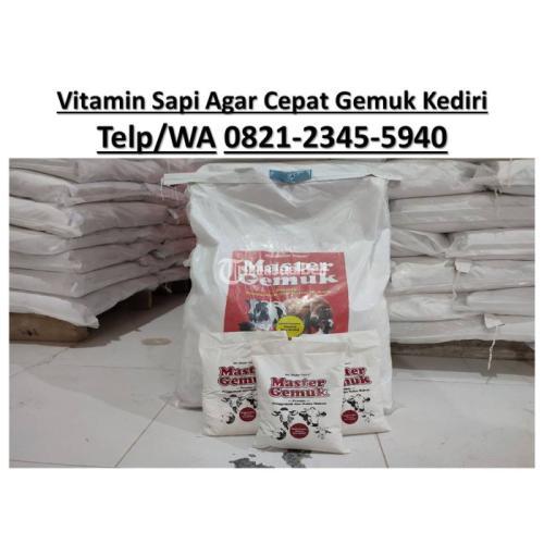 Vitamin Sapi Agar Cepat Gemuk Purwoasri di Kediri - Tribun JualBeli