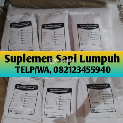 High Quality Obat Sapi Lumpuh di Magelang - Tribun JualBeli