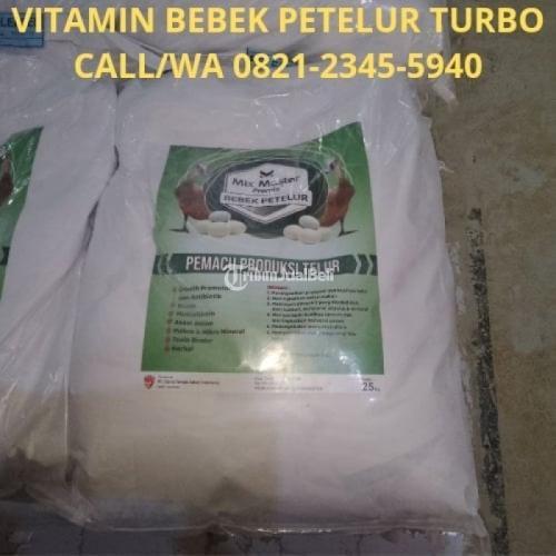 Suplemen Tambahan Untuk Bebek Petelur di Padang Panjang - Tribun JualBeli