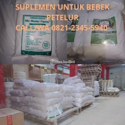Suplemen Tambahan Untuk Bebek Petelur di Padang Panjang - Tribun JualBeli