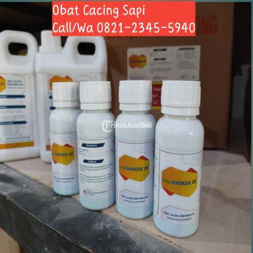 Obat Cacing Ternak Ruminansia - Tribun JualBeli