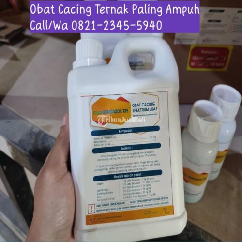 Ceta Bendazol 125 Obat Cacing Hewan di Jombang - Tribun JualBeli