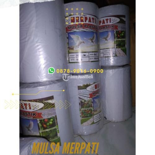 Produsen Plastik Sungkup Tanaman di Surabaya - Tribun JualBeli