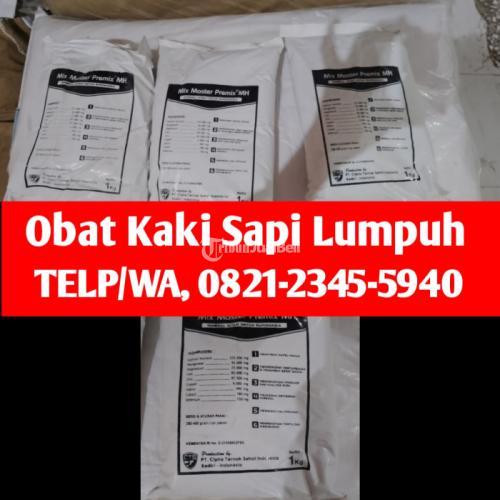 Obat Herbal untuk Sapi Lumpuh di Lumajang - Tribun JualBeli