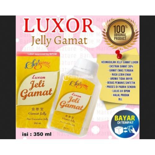 Luxor Jelly Gamat 350ml Peripang Laut Oat Herbal di Jakarta Pusat ...