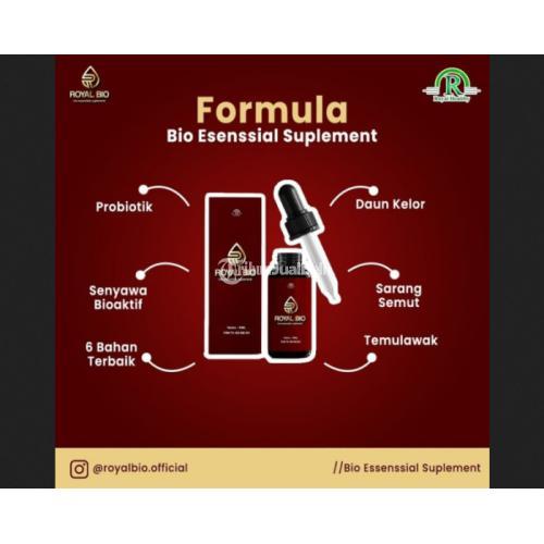 Royal Bio Obat Tetes Herbal Kesehatan Tubuh Kolesterol Hipertensi Gerd ...