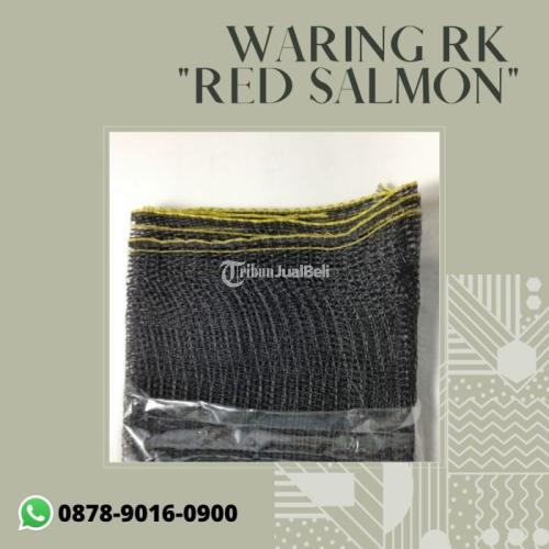 Bahan Berkualitas Agen Waring Bawang Putih di Surabaya - Tribun JualBeli