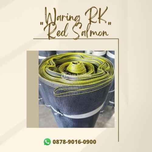 Bahan Berkualitas Agen Waring Bawang Putih di Surabaya - Tribun JualBeli