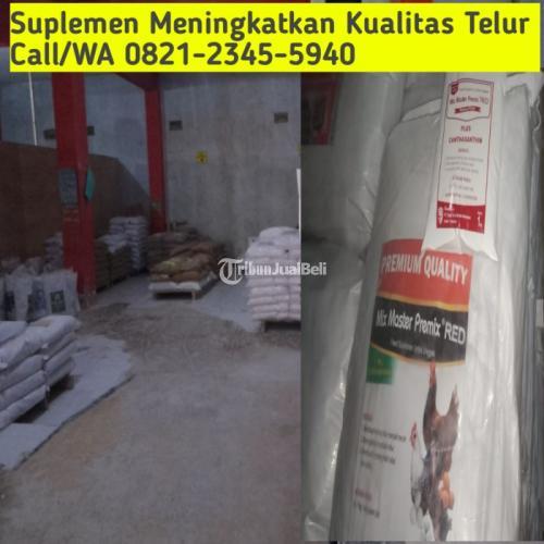 Premix Untuk Bebek Petelur Mix Master Red di Lumajang - Tribun JualBeli