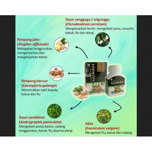 Kapsul Herbal Gurah Meredakan Pernapasan Obat Batuk Dahak dan Lendir di ...