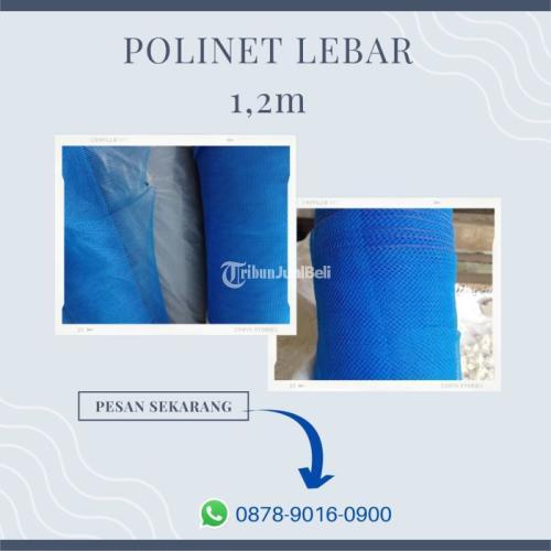 Polynet Kualitas Terbaik Harga Terjangkau di Surabaya - Tribun JualBeli