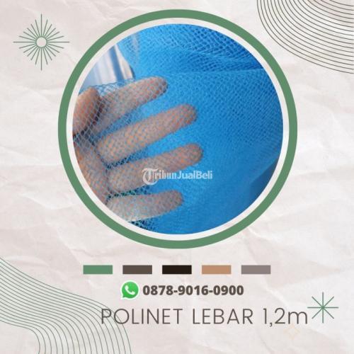 Polynet - Tribun JualBeli