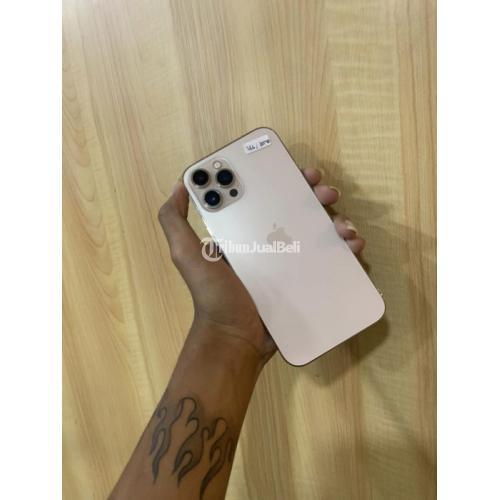HP iPhone 12 Pro Max 128GB Gold Bekas Fungsi Normal Fullset Garansi di ...