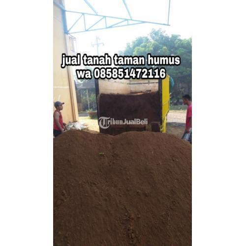 Tanah Humus, Tanah Taman, Tanah Subur Per M3 Untuk Media Tanaman - Tribun JualBeli