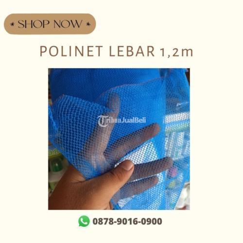 Agen Polynet Biru Bahan Tidak Mudah Sobek di Surabaya - Tribun JualBeli