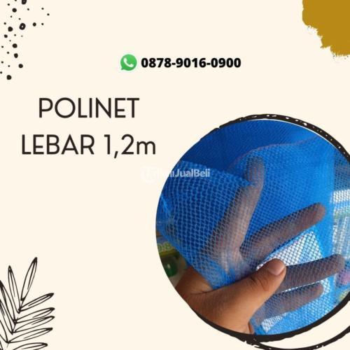 Polynet Biru Kualitas Terjamin Harga Terjangkau di Surabaya - Tribun ...