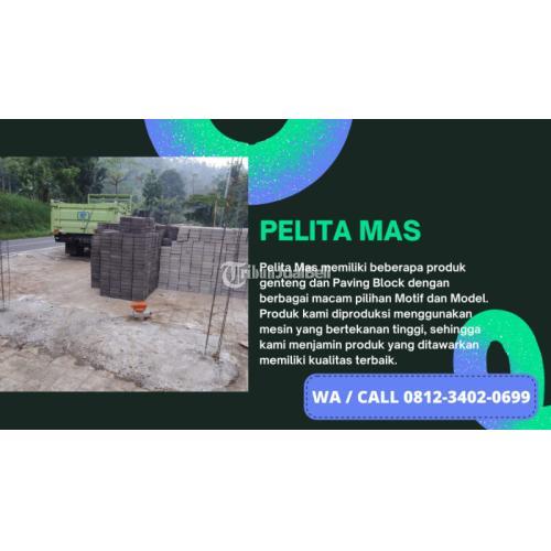 Agen Paving Block 20x20 di Banyuwangi - Tribun JualBeli