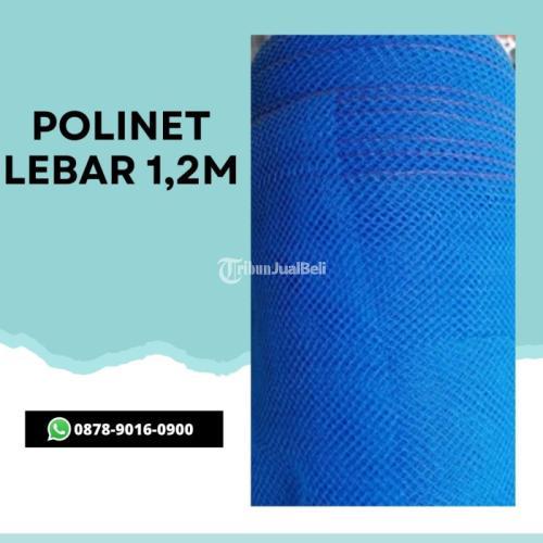 High Quality - Tribun JualBeli