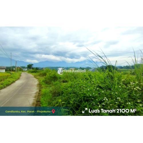 Dijual Tanah Murah di Pacet, View Pegunungan Istimewah di Mojokerto ...