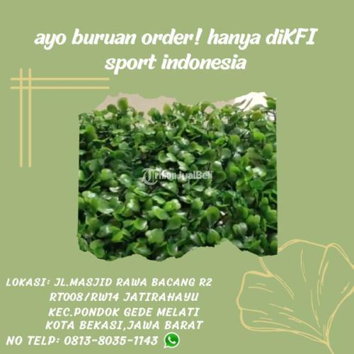 Daun Dolar Sintetis Tanaman Rambat di Bekasi - Tribun JualBeli