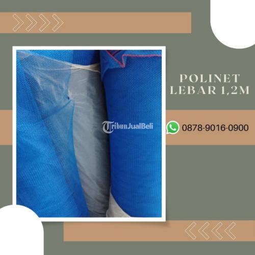 Polynet Harga Terjangkau Kualitas Terbaik di Surabaya - Tribun JualBeli