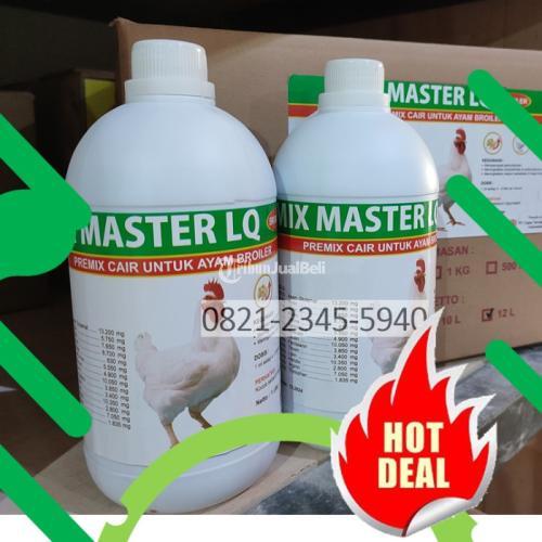 Obat Perangsang Pertumbuhan Ayam Broiler Mrandung Bangkalan - Tribun ...