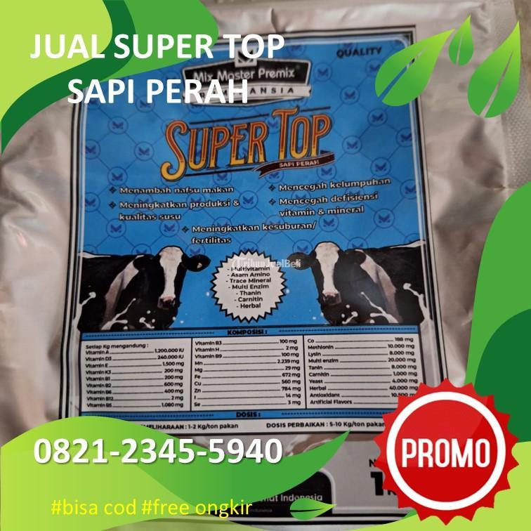 Best Seller Suplemen Sapi Perah Penambah Nafsu Makan – Kediri Kota ...