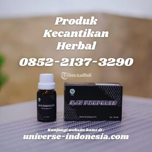 Propolis Pakai Bahan Alami Banyak Manfaatnya Bagi Kesehatan di ...