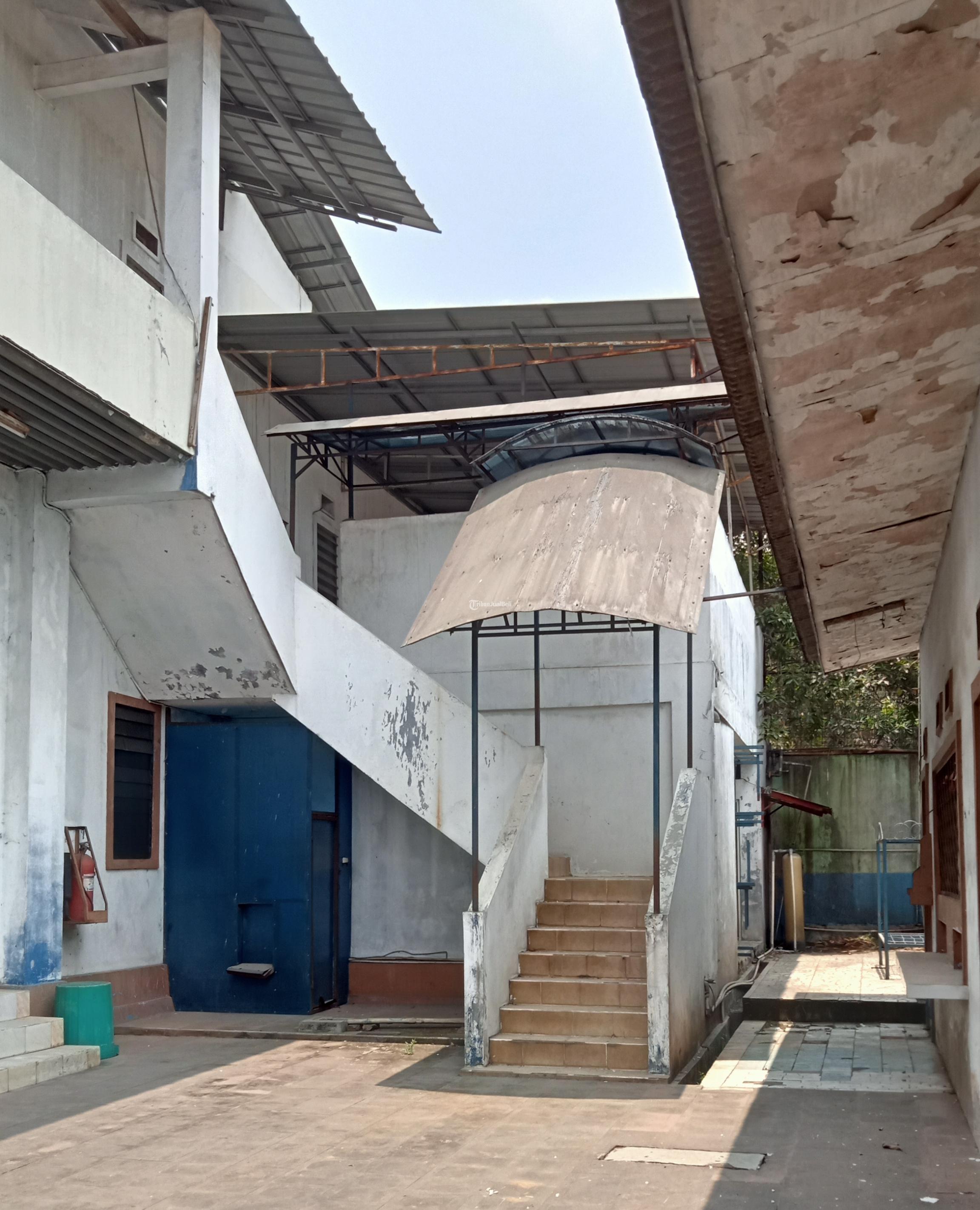 Wajah Pemilik Gudang Lecet di Wajah - Surya.co.id