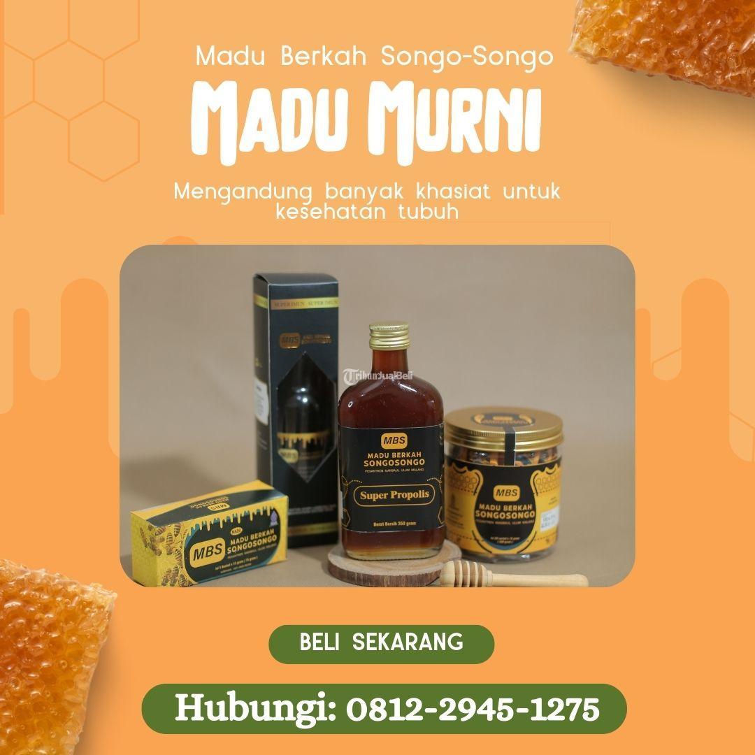 Madu Murni Harga Terjangkau Kualitas Terbaik di Malang - Tribun JualBeli