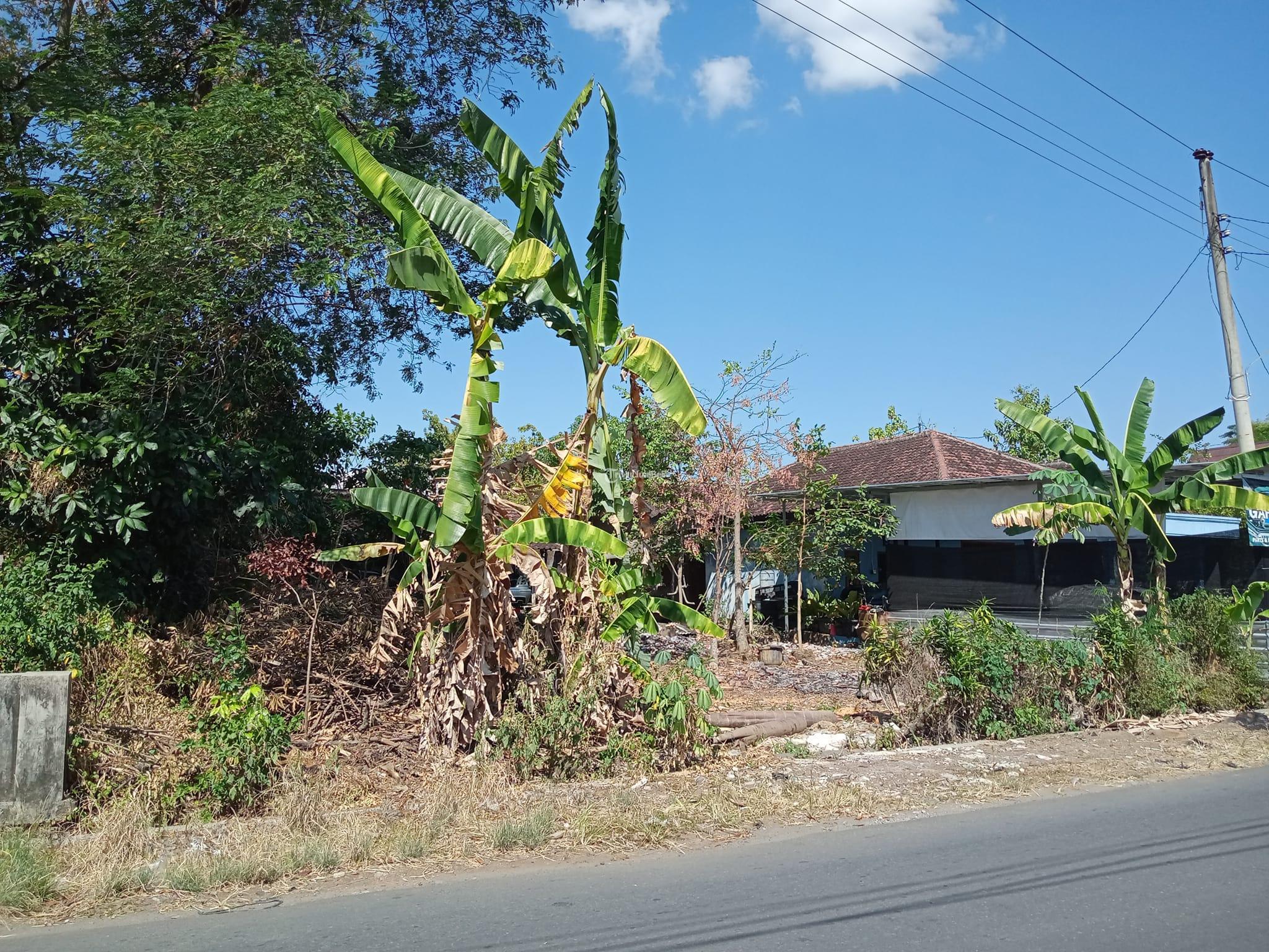 Dijual Tanah Luas 530m Murah Tepi Jalan Raya Mandan Sukoharjo Bagus ...