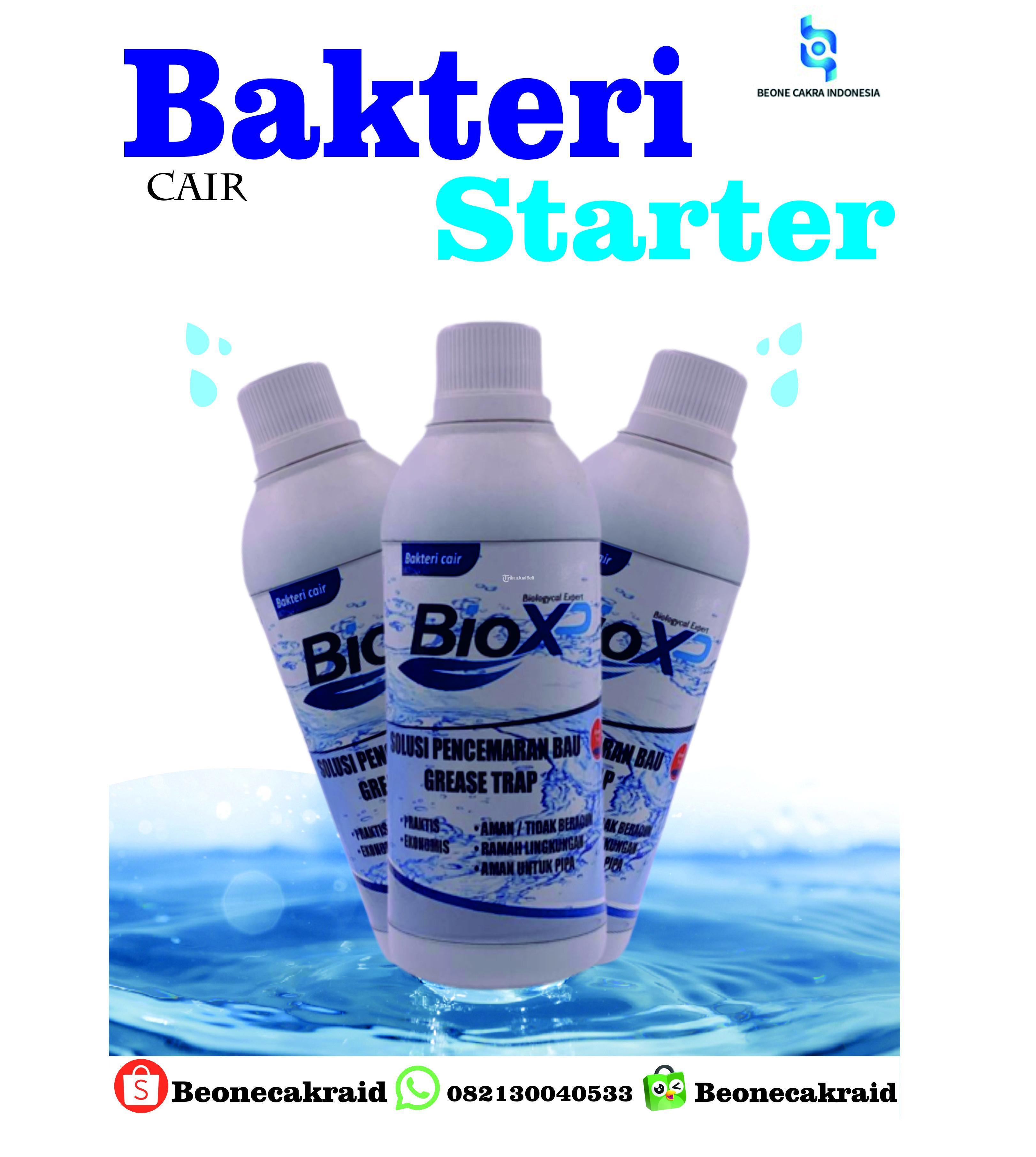 Bakteri Starter untuk Fermentasi Makanan & Minuman di Bogor - Tribun ...