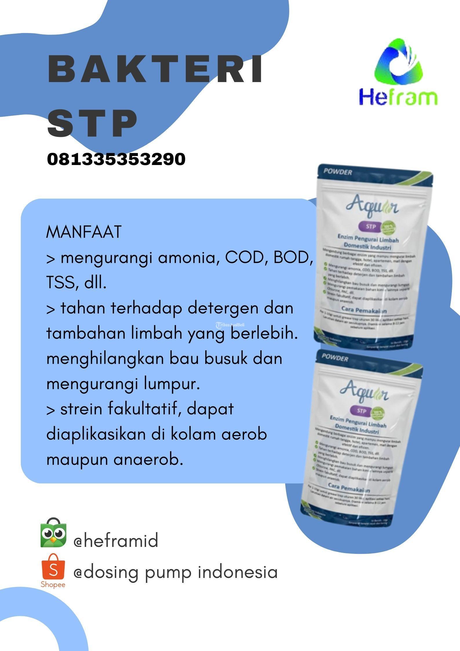 Segera dapatkan bakteri aquar stp 081335353290 - Tribun JualBeli